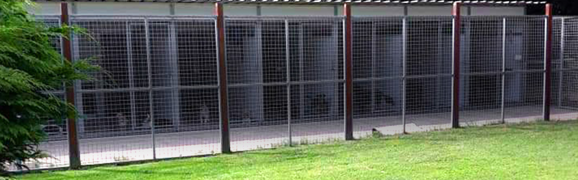 Elderberry Kennels – Sleaford Road, Bracebridge Heath, Lincoln LN4 2HR